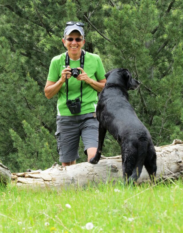 Jean Maher - IAGSDC History