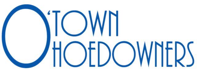 File:Logo O'Town Hoedowners 2020.png - IAGSDC History