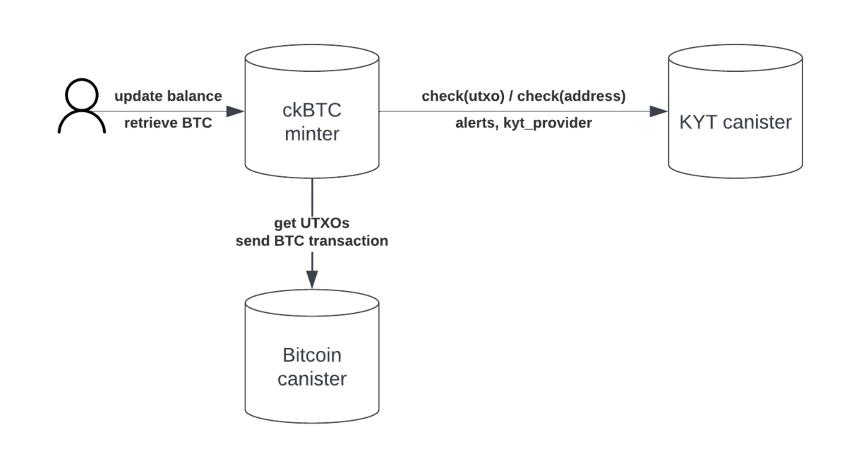 Know-Your-Transaction (KYT) Canister - Internet Computer Wiki