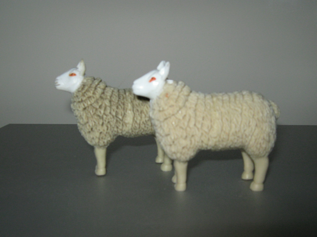 Border Leicester - Toy Animal Wiki