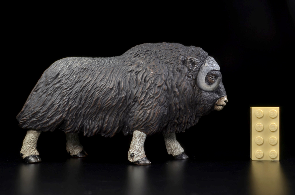 Papo 50308 Musk Ox - Toy Animal Wiki