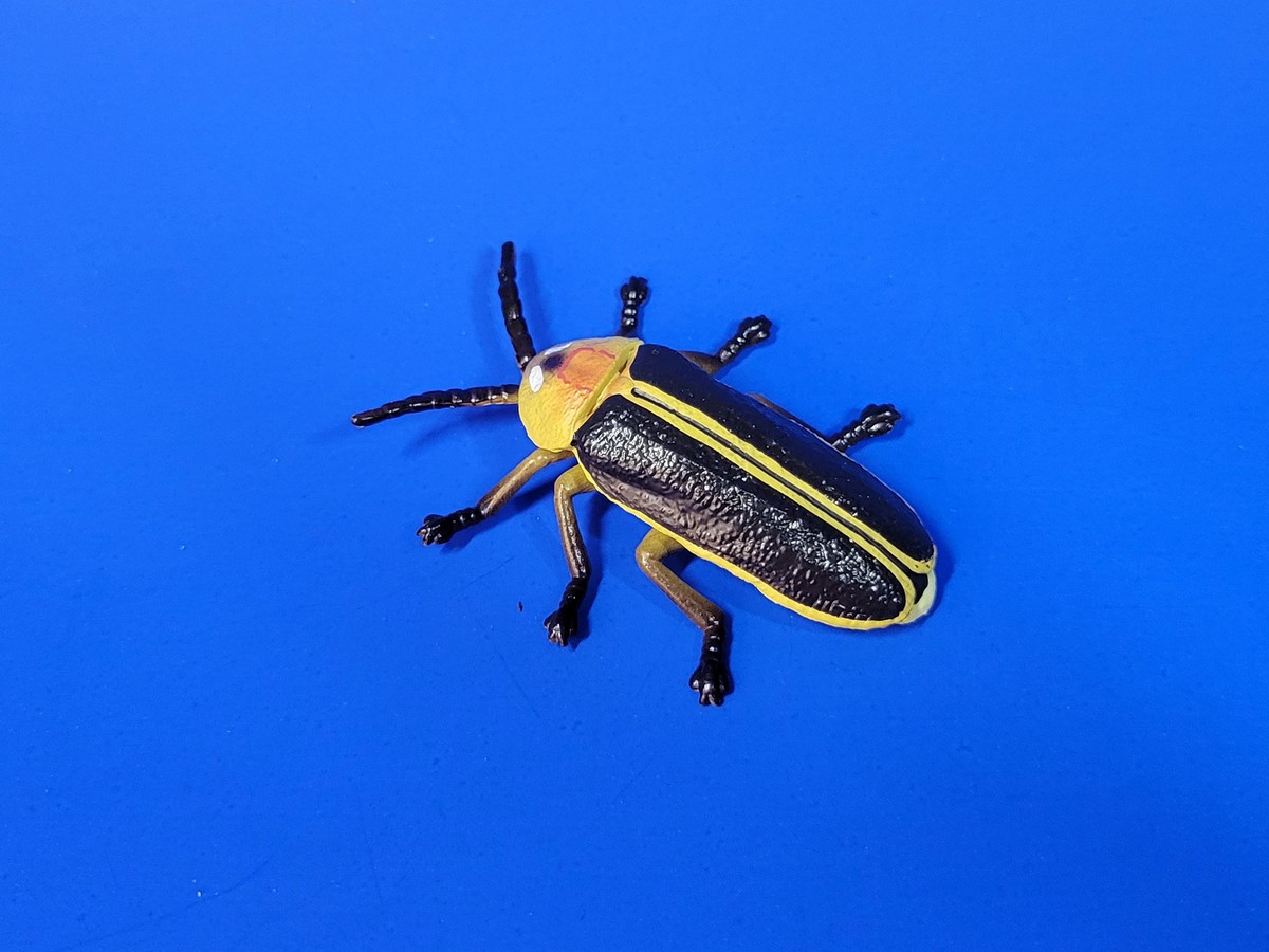 ToyMany Firefly - Toy Animal Wiki