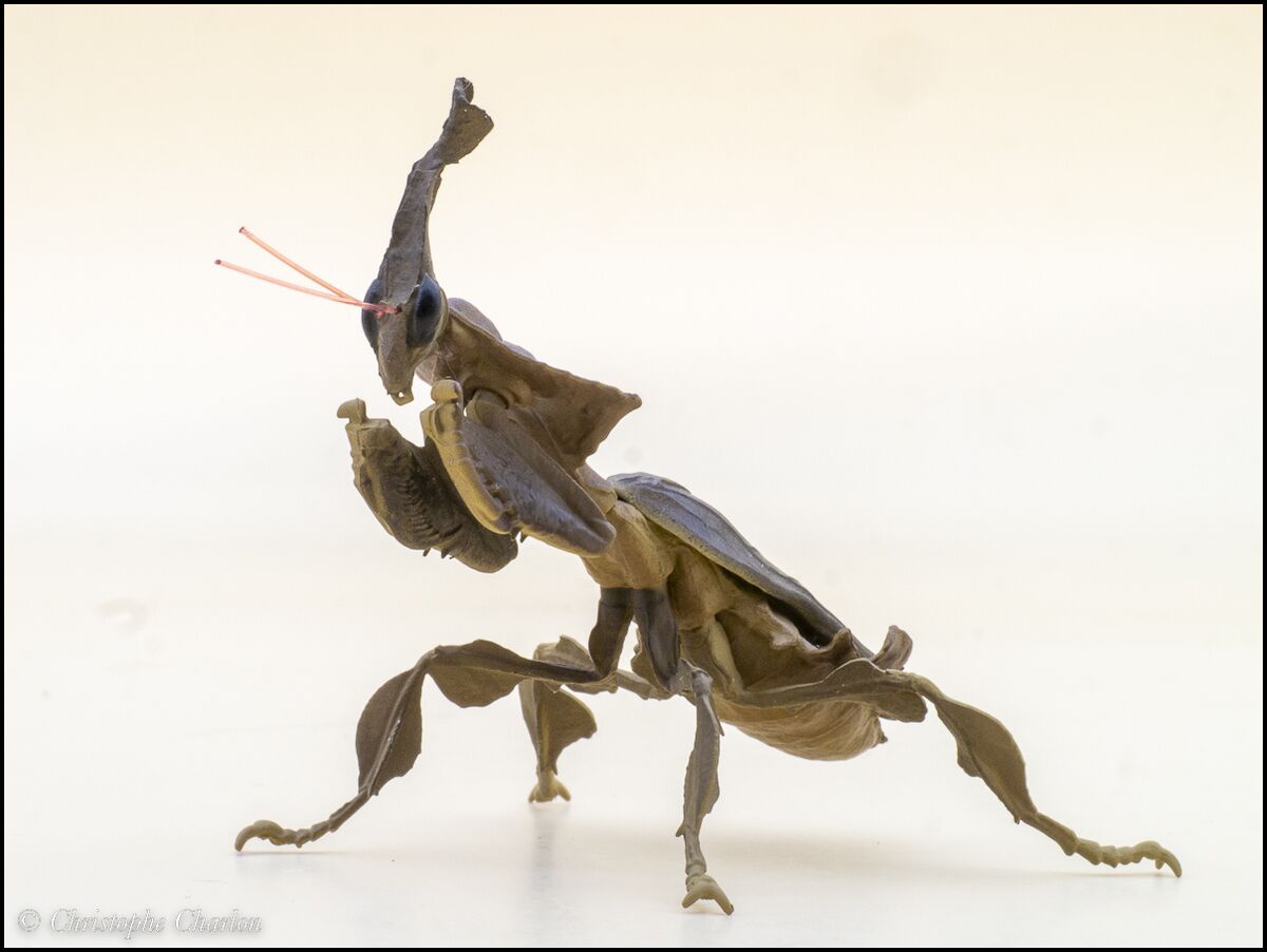 Bandai Mini Ghost Mantis (Brown) - Toy Animal Wiki