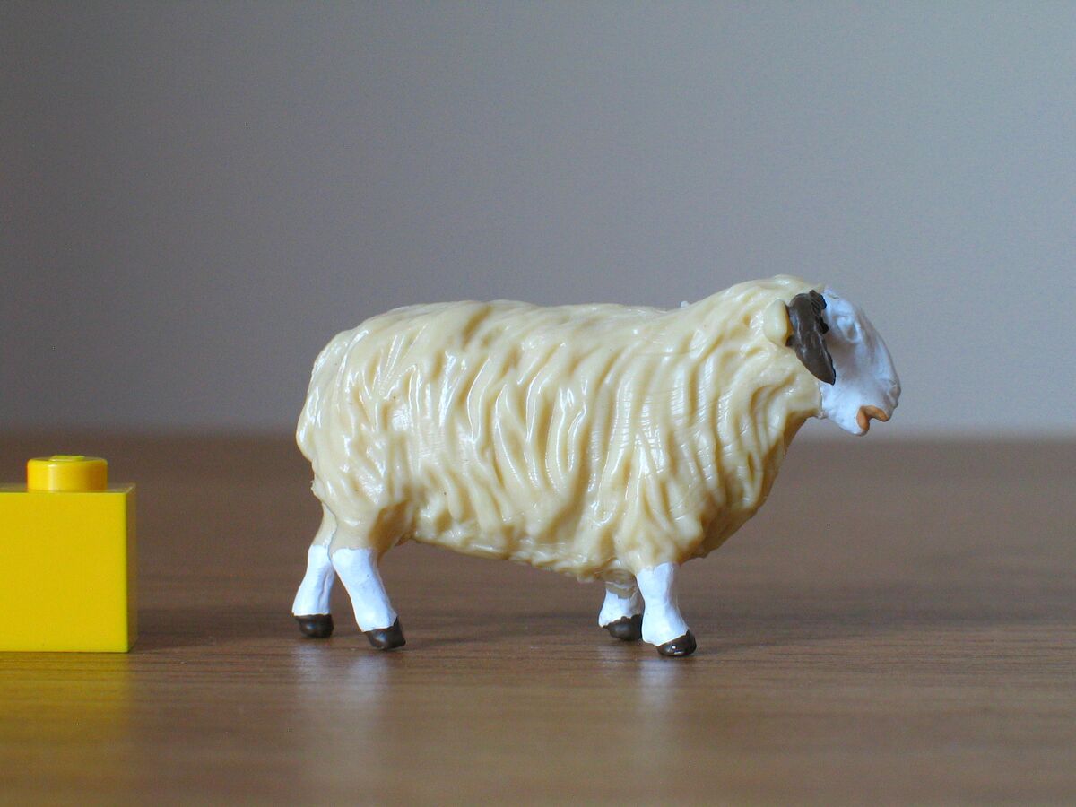 Welsh Mountain sheep - Toy Animal Wiki