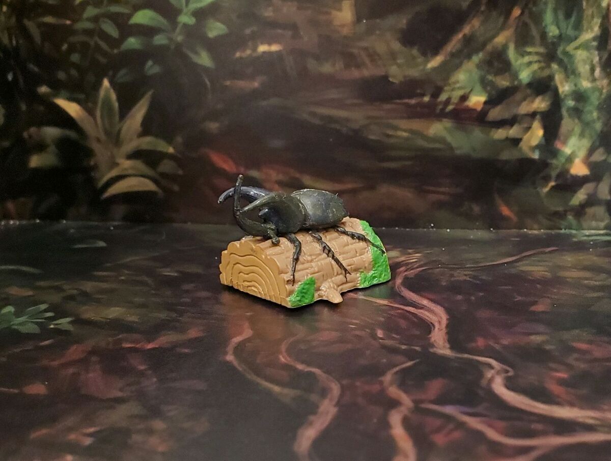 Moellenkampi beetle - Toy Animal Wiki