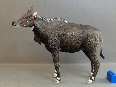 Boselaphini - Toy Animal Wiki