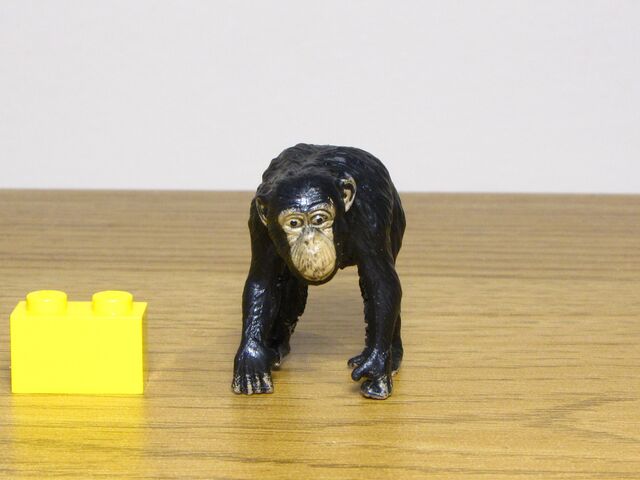CollectA Box A1212 Mini Chimpanzee - Toy Animal Wiki