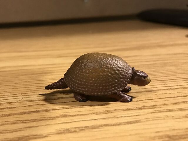 Colorata Glyptodon - Toy Animal Wiki