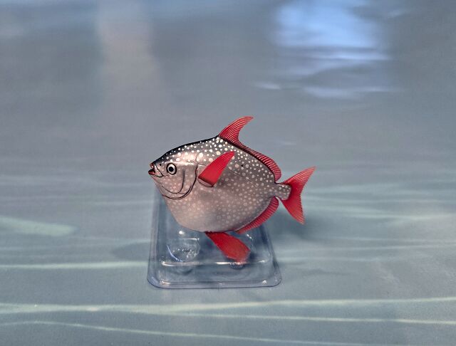 Opah - Toy Animal Wiki