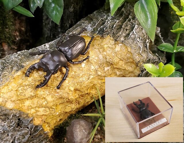 Bandai Bugs Museum Lucanus maculifemoratus - Toy Animal Wiki