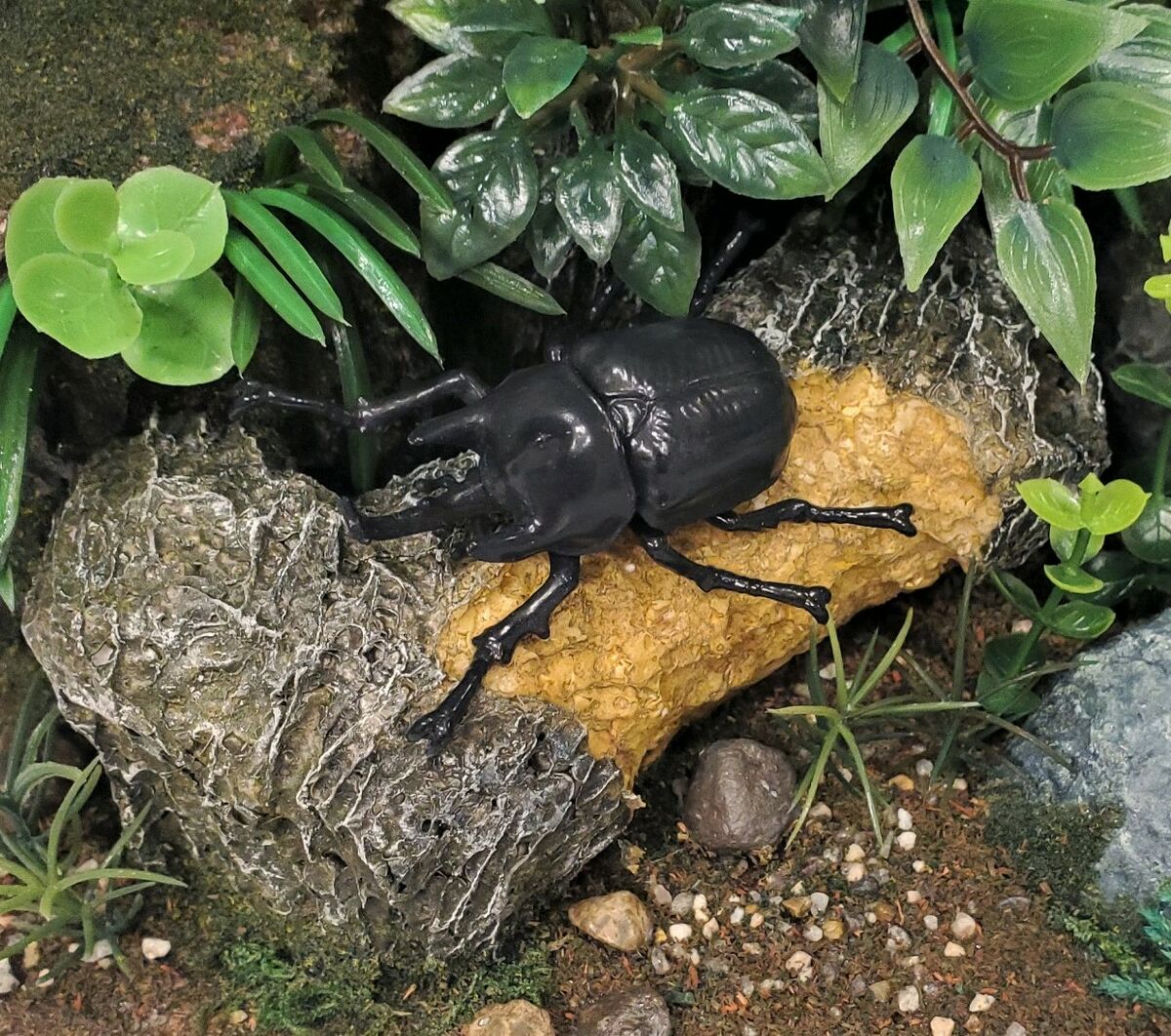 SEGA Standard Series Megasoma actaeon (black eyes) - Toy Animal Wiki