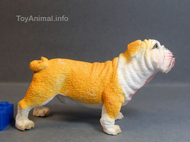 World's Famous Dogs, asking information and pictures for TAW