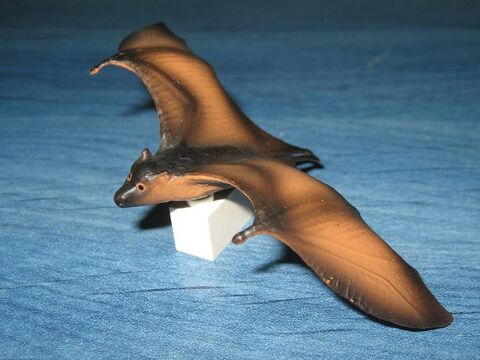 Giant golden-crowned flying fox - Toy Animal Wiki