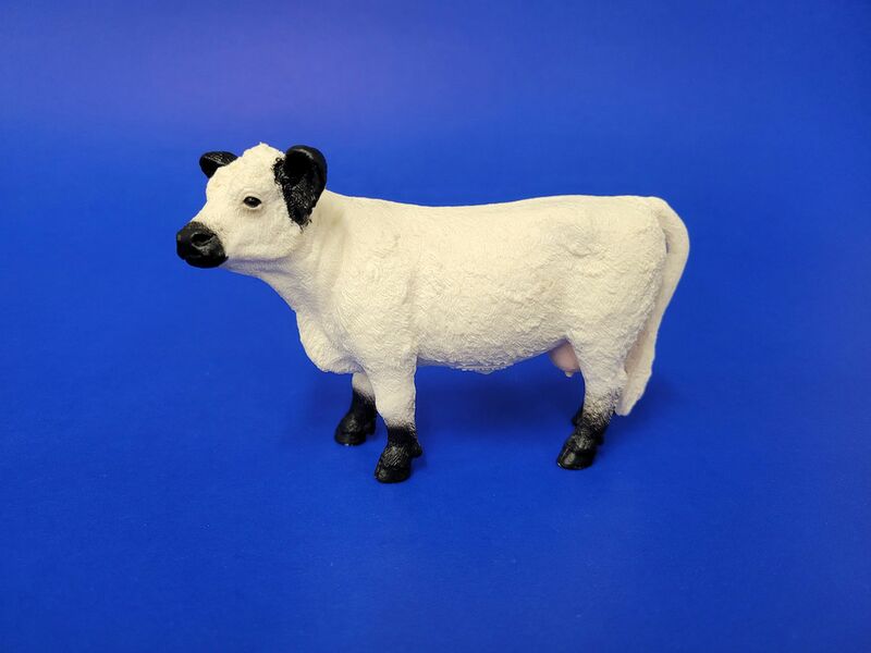 Schleich 13960 Galloway Cow - Toy Animal Wiki