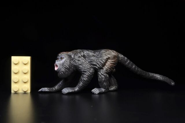 Mantled howler - Toy Animal Wiki