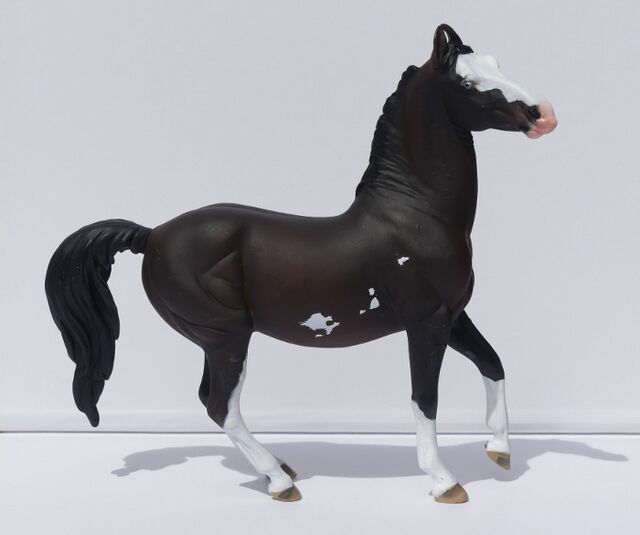 WIA 10002 Marwari Stallion - Dark Chestnut Sabino - Toy Animal Wiki