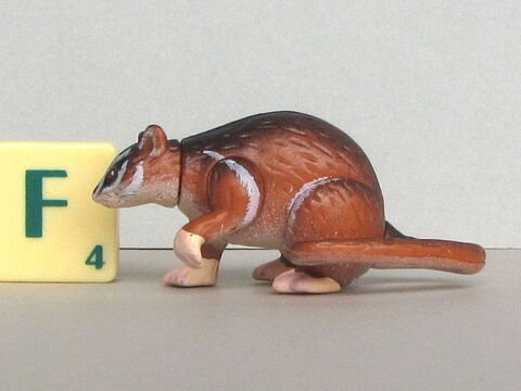 Giant ringtail possum - Toy Animal Wiki